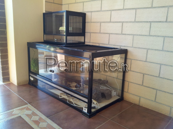 TECA PER RETTILI Roma in Permuta, Rettili / Accessori - Permute.it